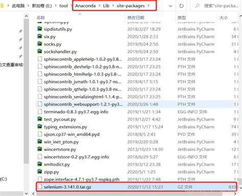 Selenium 的安装教程（本人的成功历程）selenium31410 Csdn博客