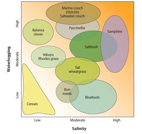 Review Salt Tolerant Crops Time To Deliver Plantae
