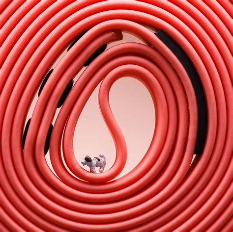 Good Sht For Dogs Wagd