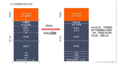 父子进程的虚拟空间 父进程和子进程共享内存空间吗 csdn博客
