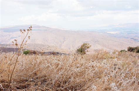 자연 풍경 언덕 Pixabay의 무료 사진