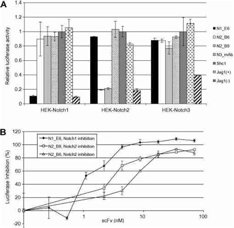 Receptor Specific And Dose Dependent Inhibition Of Notch Signalling