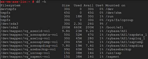Deployment Manager Automated VM Deployment For SAP ASE On Linux Google Cloud