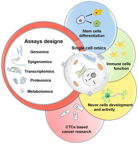 Single Cell Omics From Assay Design To Biomedical Application Chen My