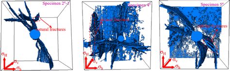 The3d Reconstruction Models Representing The Interaction Between Download Scientific Diagram
