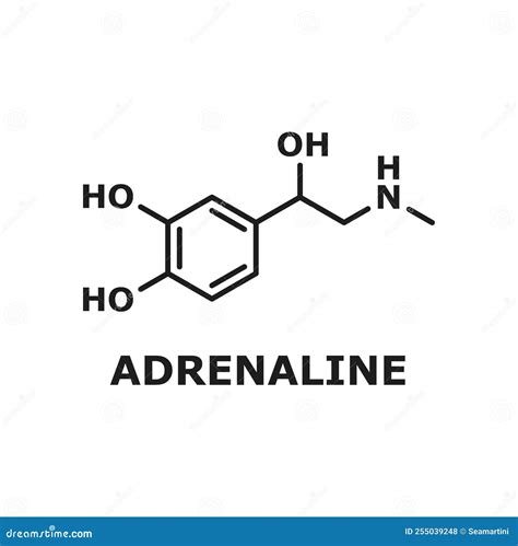 Adrenaline Or Adrenalin Epinephrine Structure Stock Illustration