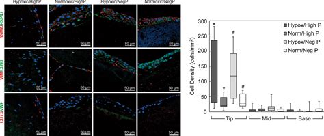Arghya Paul Publications