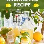 Limoncello Recipe Calculations FAQs Italian Recipe Book