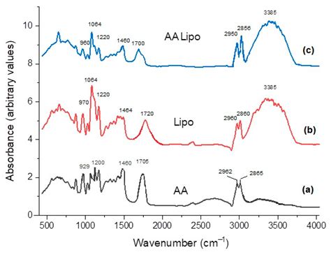Novel Liposomal Formulation With Azelaic Acid Preparation Characterization And Evaluation Of