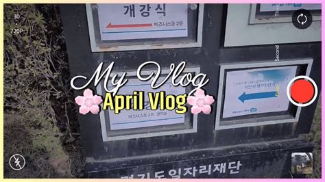 국비 교육 듣고 바질 키우고 운동하는 취준생 브이로그 Vlog Youtube