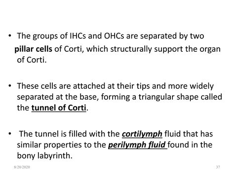 Functional Aspects Of Cochlea Ppt