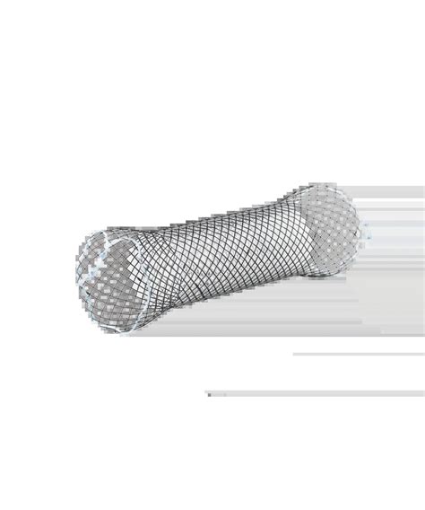 Covered Esophageal Stents Micro Tech Endoscopy