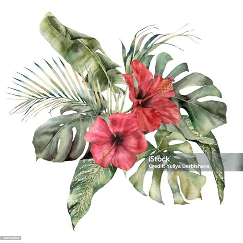 히비스커스와 야자수 잎이 있는 수채화 열대 꽃다발 흰색 배경에 고립 된 꽃과 식물손으로 그린 카드 디자인 인쇄 배경에 대한 꽃 그림 휴일 템플릿입니다 0명에 대한 스톡 벡터