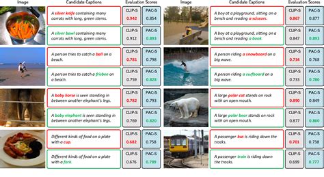 Positive Augmented Constrastive Learning For Image And Video Captioning Evaluation Semantic