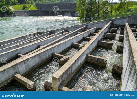 A Fish Ladder Also Known As A Fishway Fish Pass Or Fish Steps
