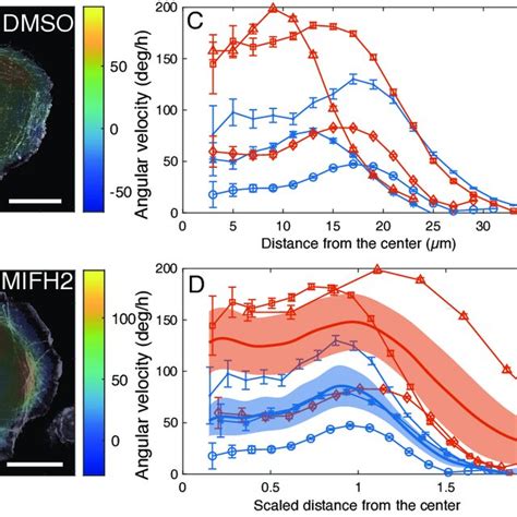 Angular Velocity Obtained By The Piv Analysis A B Spatial Profile Of Download Scientific