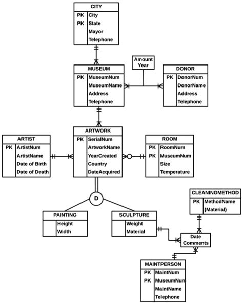 Solved Convert The Following National Museum Entity Relationship