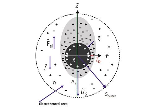 Figure 81 From Sedimentation Of A Spherical Particle In An Electrolyte Viscoelastic Solution
