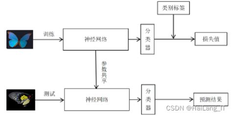 毕业设计选题：基于深度学习的蝴蝶种类识别检测系统 人工智能 yolo 计算机视觉 蝶类分类系统 csdn博客