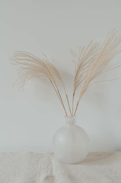 Premium Photo Elegant Fluffy Pampas Grass Stalks In White Vase