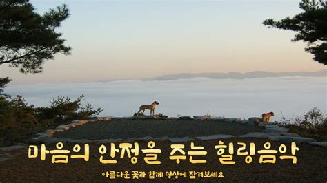 마음의 안정을 주는 음악 힐링음악 Youtube