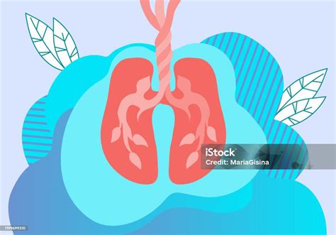 인간의 폐 해부학 및 생물학적 시각 물질에 대한 호흡기 기관 창조적 인 이미지 건강관리와 의술에 대한 스톡 벡터 아트 및 기타 이미지 건강관리와 의술 건강한 생활방식