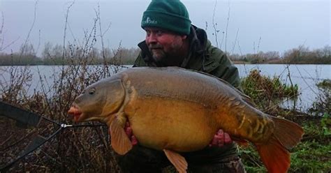 Winter Bait Rambling Questbaits