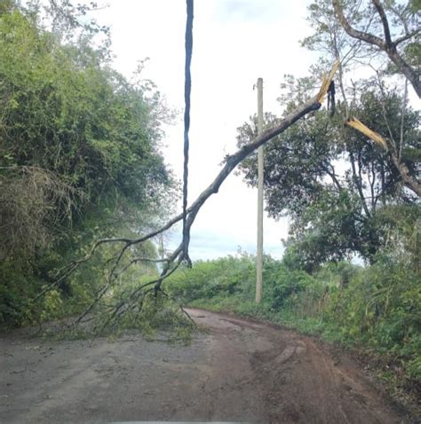 Temporal Provoca Alagamentos E Quedas De árvores