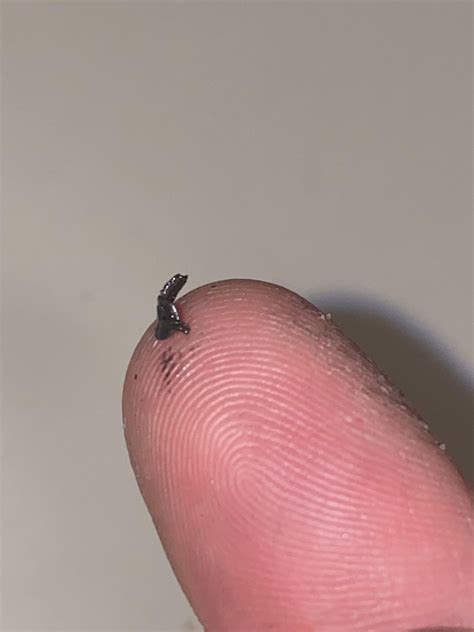 Pulled This Out Of My Sl M4100 Details In Captions Rmtb