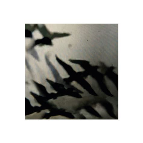 Desert Island Cloud Intelligent Artful Indie Guitar Driven Bliss