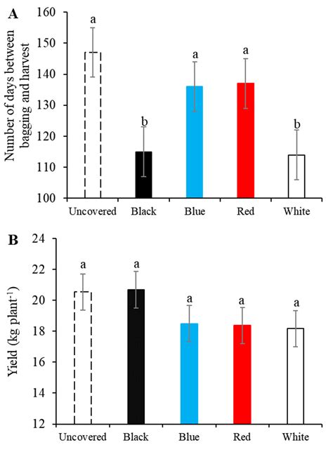 The Period From Bunch Covering Until Harvest A And Plant Yield B Of