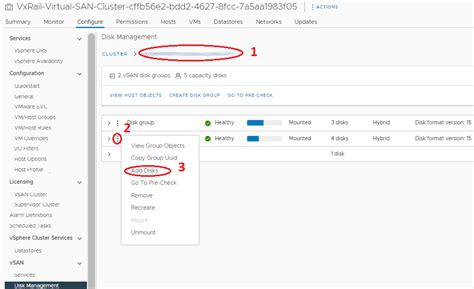 Guide To Manually Replace Disks Using Vcenter On Dell Vxrail Clusters
