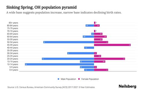 Sinking Spring Oh Population By Age 2023 Sinking Spring Oh Age
