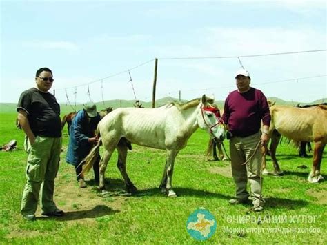 ОЧИРВААНИЙ ХҮЛЭГ МСУХолбоо 2007 оны улсын баяр наадамд эхний 10 т хурдалсан их насны морьд