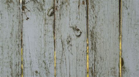 Should I Repair Or Replace My Fence