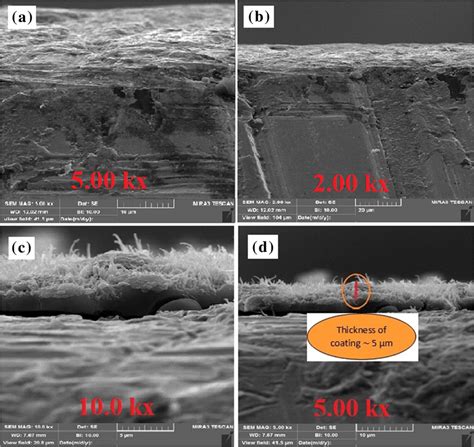 Sem Micrographs From The Cross Section Of Fiber Before A And B And