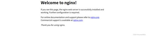 nginx 花生壳实现个人网站 化生壳nginx部署项目 csdn博客
