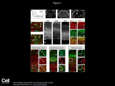Volume 57 Issue 2 Pages January 2008 Ppt Download