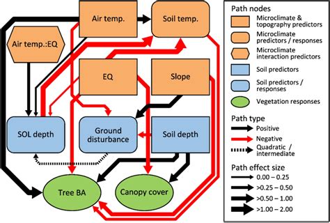 Path Diagram Of Relationships Among Physical Factors And Vegetation