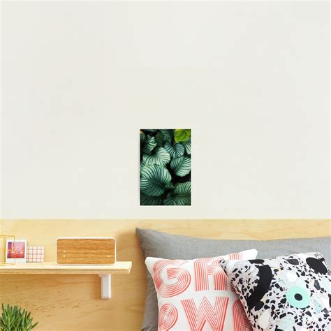Forest Green Forest Leefs Jungal Nature Wild Trees Forest Green