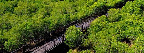 Sirindhorn Peat Swamp Forest Travel Guide Sirindhorn Peat Swamp