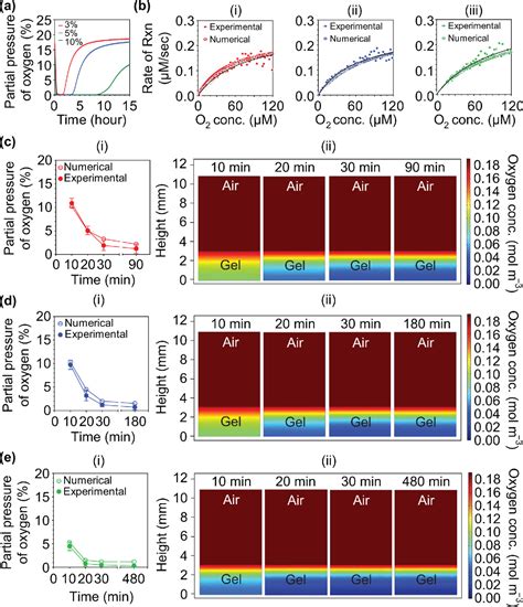 Figure 2 From The Design Of Dextran Based Hypoxia Inducible Hydrogels Via In Situ Oxygen