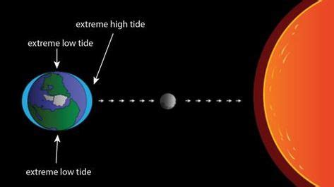 ideas de La gravedad en los planetas planetas gravedad astrónomos