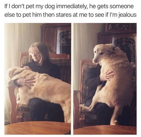 His Face Says It All Gag