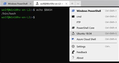 Windows 10 2004 Wsl 2