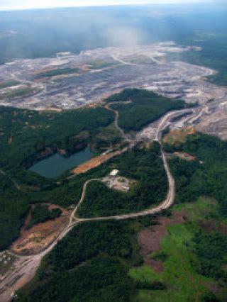 Kerusakan Lingkungan Akibat Tambang Batu Bara DATATEMPO