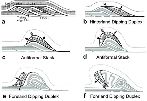 A Structures Generally Observed Within A Duplex B F Download