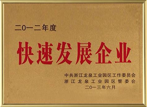 证书 浙江龙泉凯利达汽车空调有限公司