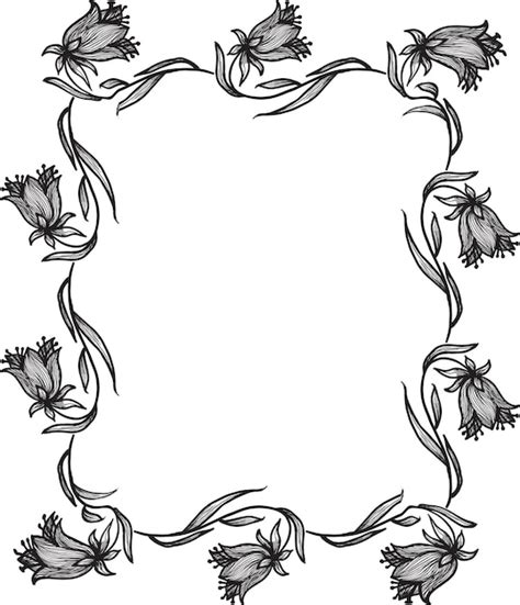 흑백 프레임 프리미엄 벡터