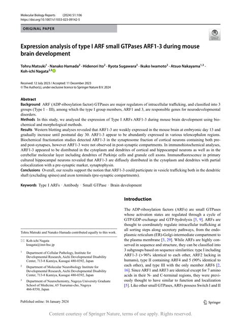Expression Analysis Of Type I Arf Small Gtpases Arf1 3 During Mouse